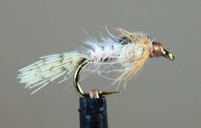 Blue Quill Western