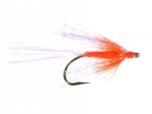 Steelhead Flies and Salmon Flies | Catch Fly Fishing - Billings, MT