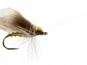 Dry Fly Caddis Patterns - Catch Fly Fishing - Billings, MT
