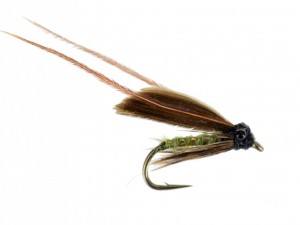 Caddis Nymphs | Catch Fly Fishing - Bilings, Montana