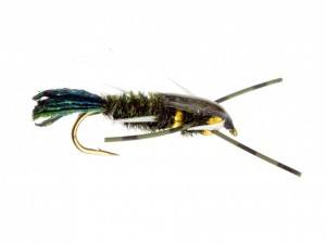 Stonefly Nymphs, Rubberlegs (PRL) & 20 Inchers | Catch Fly Fishing