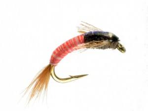 Nymphs - Standard - Catch Fly Fishing