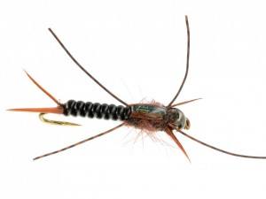 Stonefly Nymphs, Rubberlegs (PRL) & 20 Inchers | Catch Fly Fishing