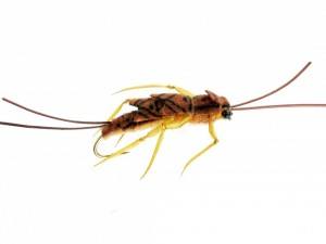 Stonefly Nymphs, Rubberlegs (PRL) & 20 Inchers | Catch Fly Fishing