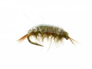 Scuds and Sowbugs (Ray Charles Fly Patterns | Catch Fly Fishing