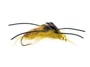 Stonefly Nymphs, Rubberlegs (PRL) & 20 Inchers | Catch Fly Fishing