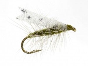 Dry Fly Caddis Patterns - Catch Fly Fishing - Billings, MT