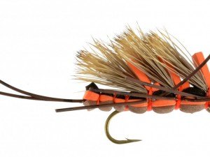 Dry Fly Stoneflies and Salmonflies | Catch Fly Fishing - Billings, MT