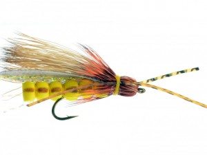 Dry Fly Stoneflies and Salmonflies | Catch Fly Fishing - Billings, MT