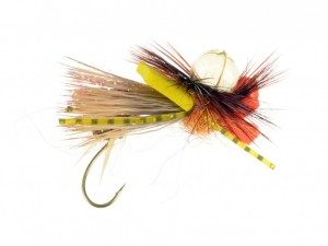 Dry Fly Stoneflies and Salmonflies | Catch Fly Fishing - Billings, MT