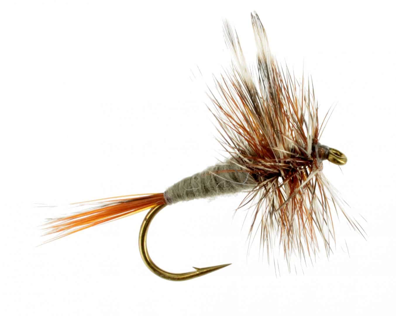 Best Dry Fly Patterns | CATCH Fly Fishing | Billings, MT