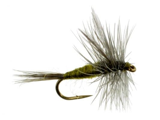 Best Dry Fly Patterns | CATCH Fly Fishing | Billings, MT