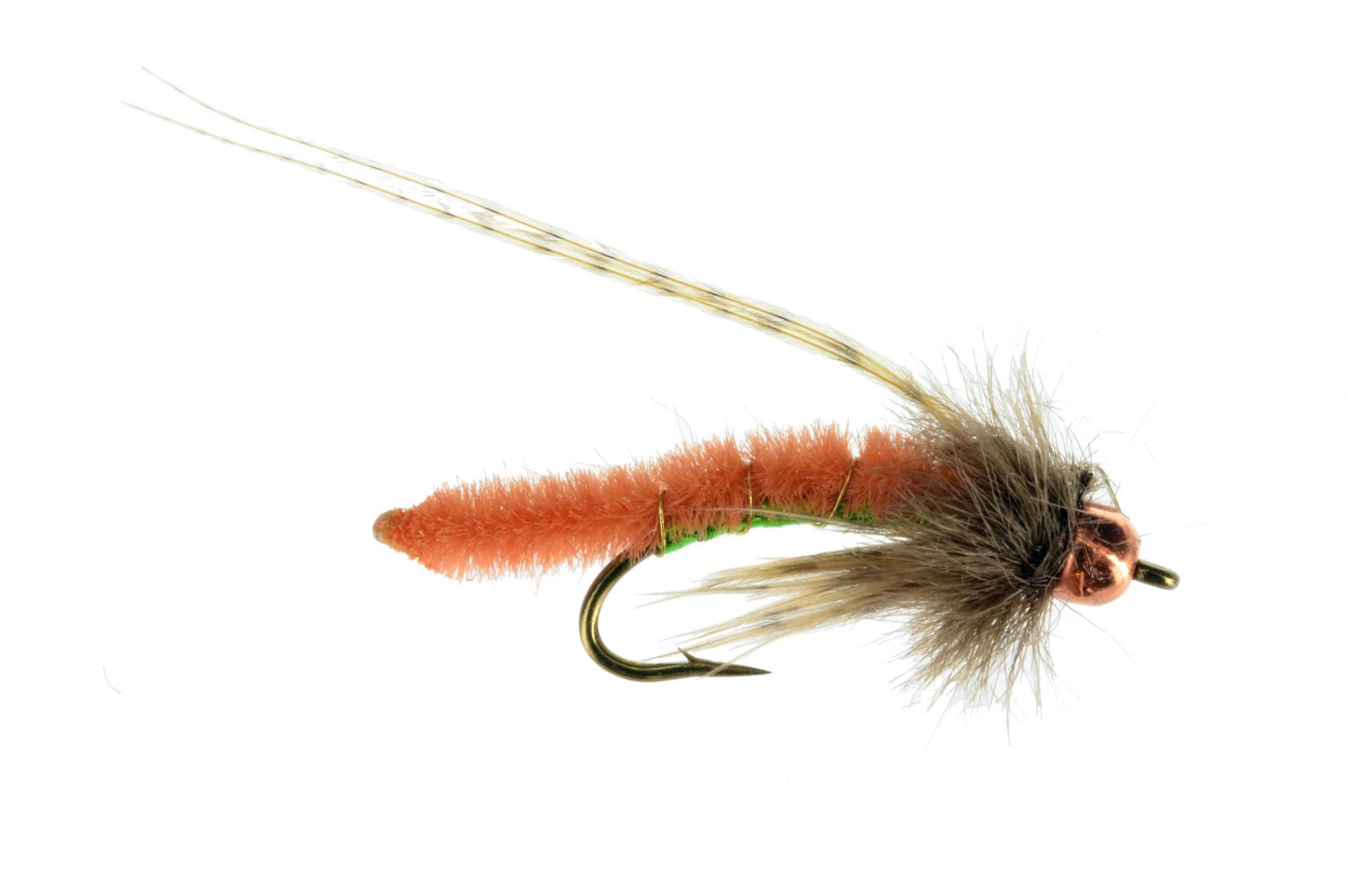 Caddis Nymphs | Catch Fly Fishing - Bilings, Montana