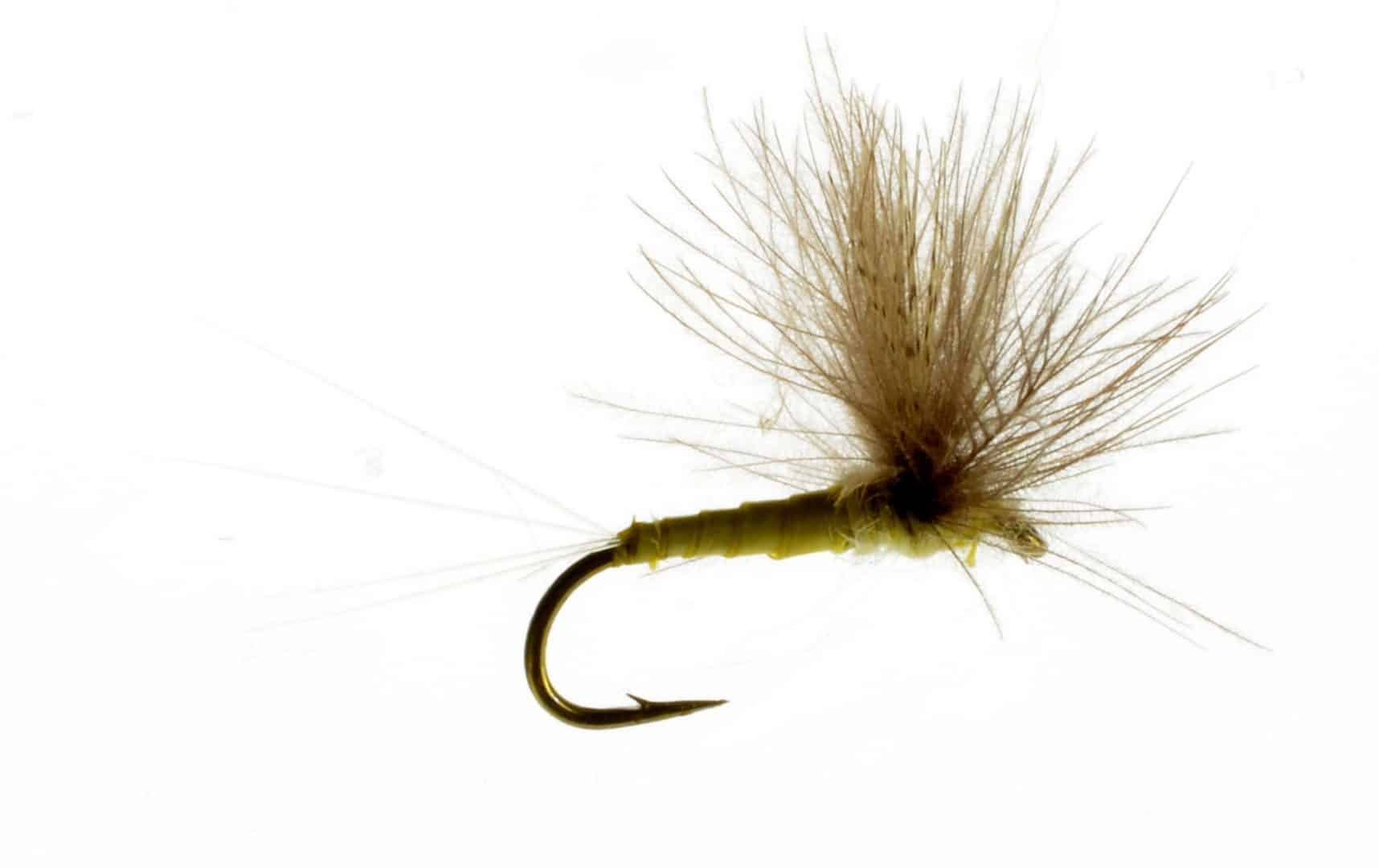 Comparaduns, Sparkle Duns and Spinners - Catch Fly Fishing