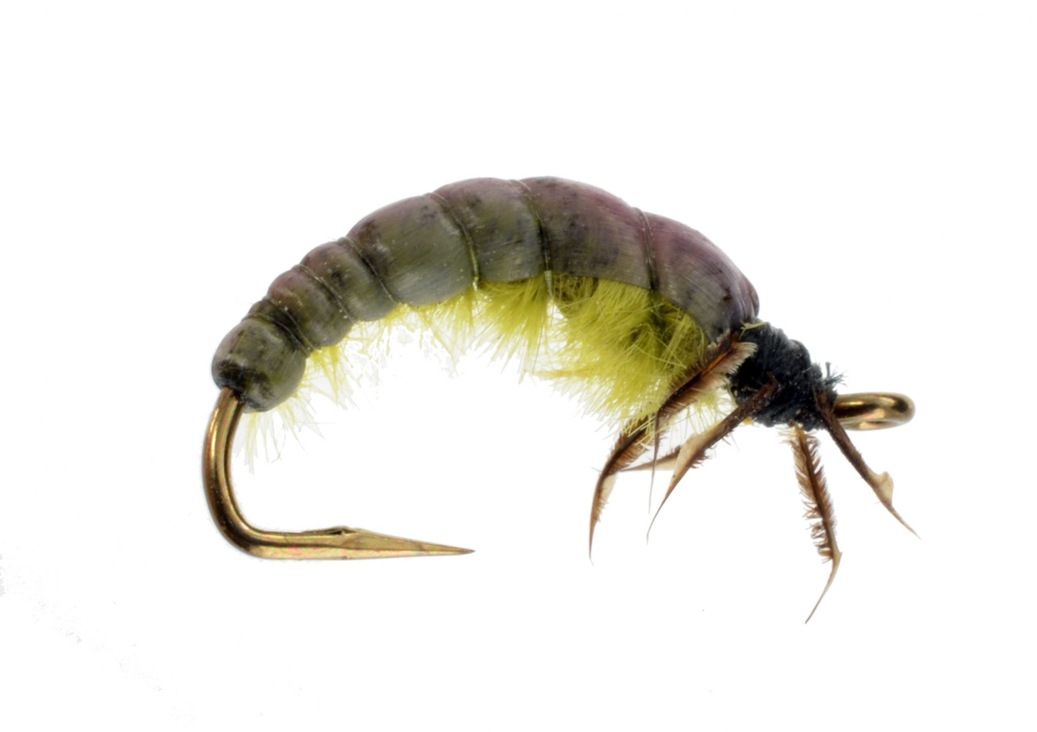 Caddis Nymphs | Catch Fly Fishing - Bilings, Montana