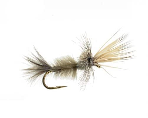 Emerger Patterns, Cripple Fly Patterns | Catch Fly Fishing - Billings