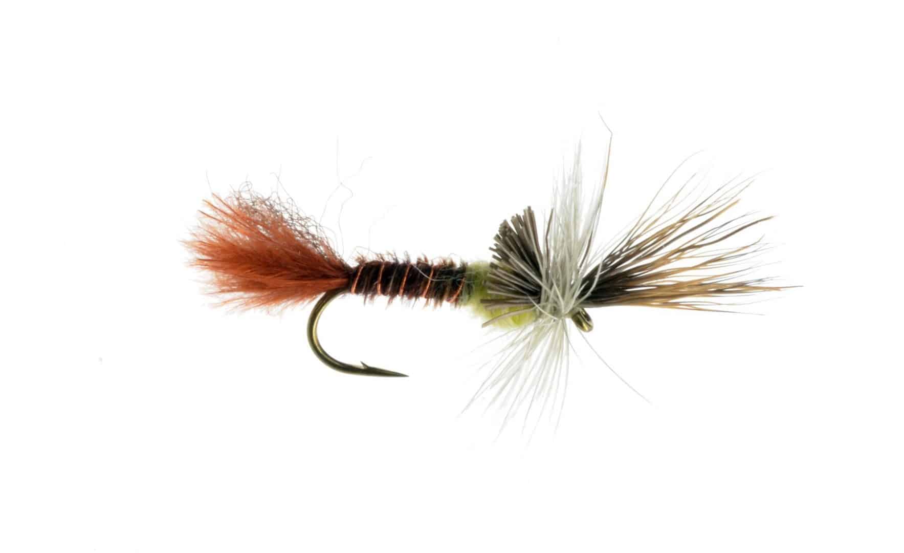 Emerger Patterns, Cripple Fly Patterns | Catch Fly Fishing - Billings