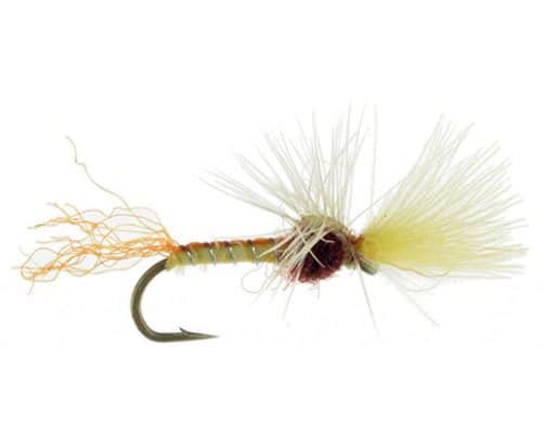 Emerger Patterns, Cripple Fly Patterns | Catch Fly Fishing - Billings