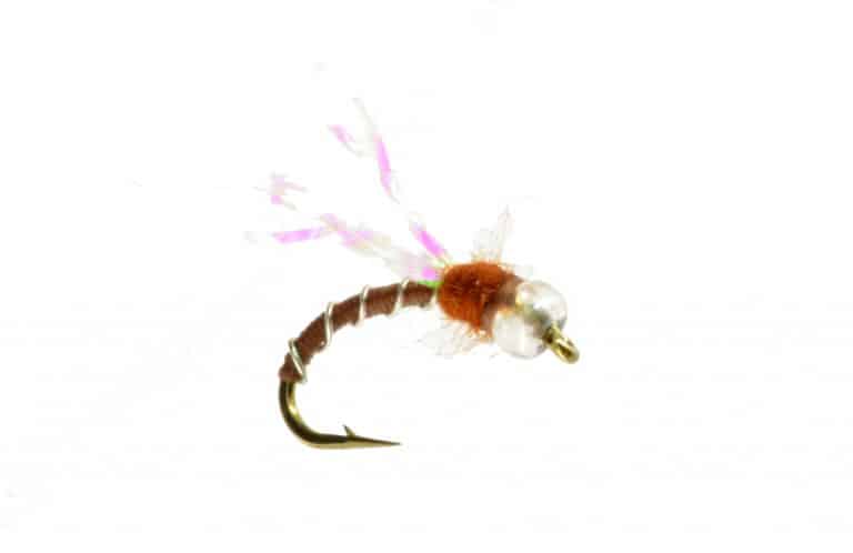 Midge Patterns & Chironomids | Catch Fly Fishing - Billings, MT