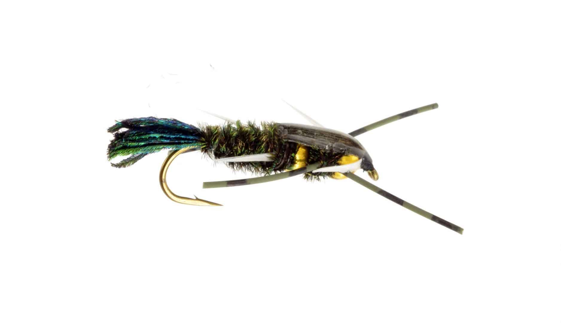 Stonefly Nymphs, Rubberlegs (PRL) & 20 Inchers | Catch Fly Fishing