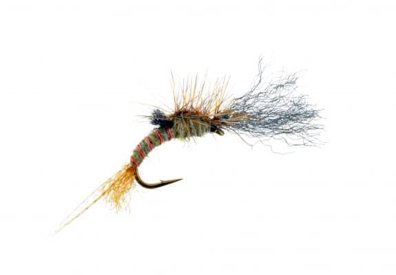 Emerger Patterns, Cripple Fly Patterns | Catch Fly Fishing - Billings