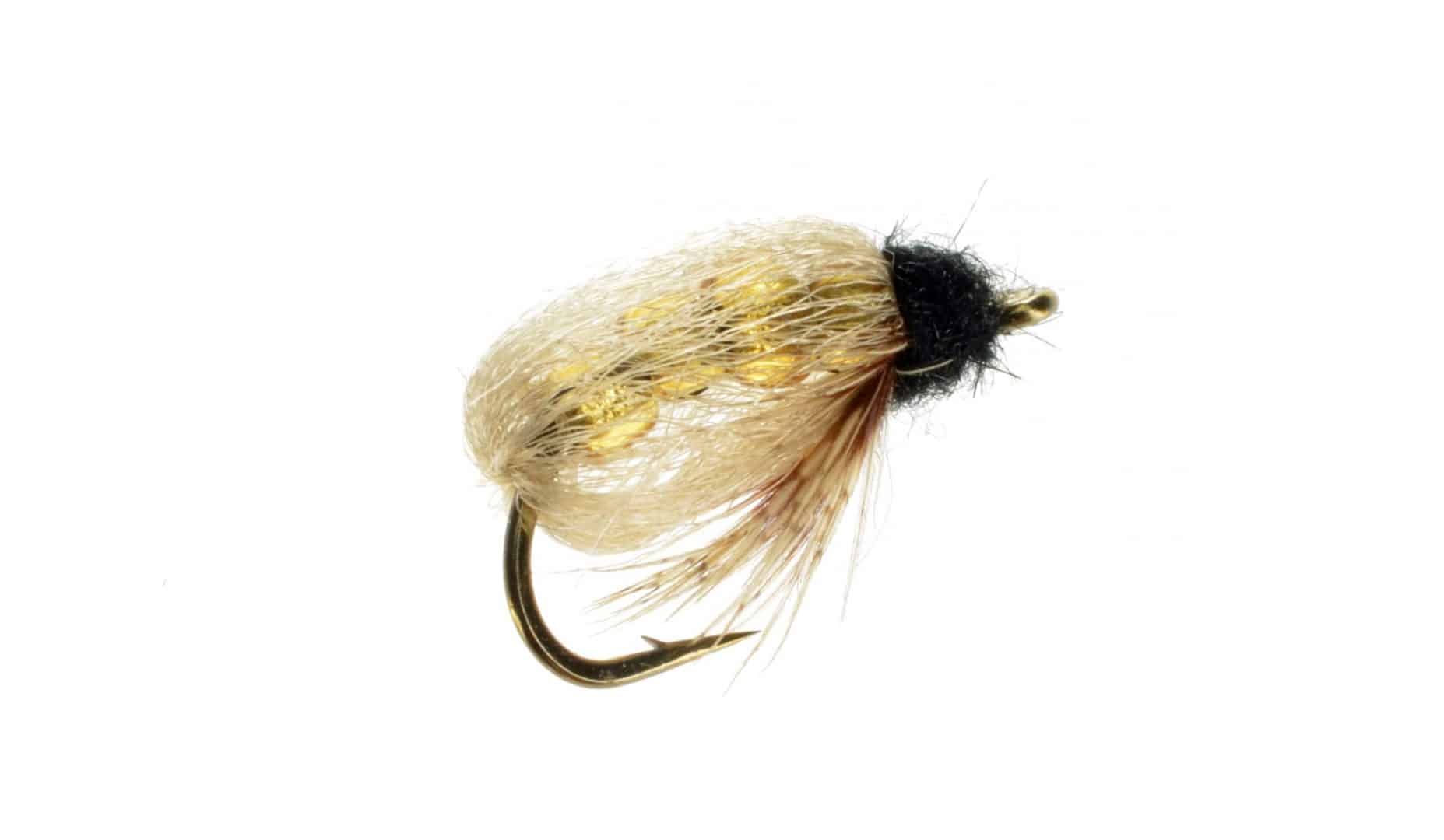 Caddis Nymphs | Catch Fly Fishing - Bilings, Montana