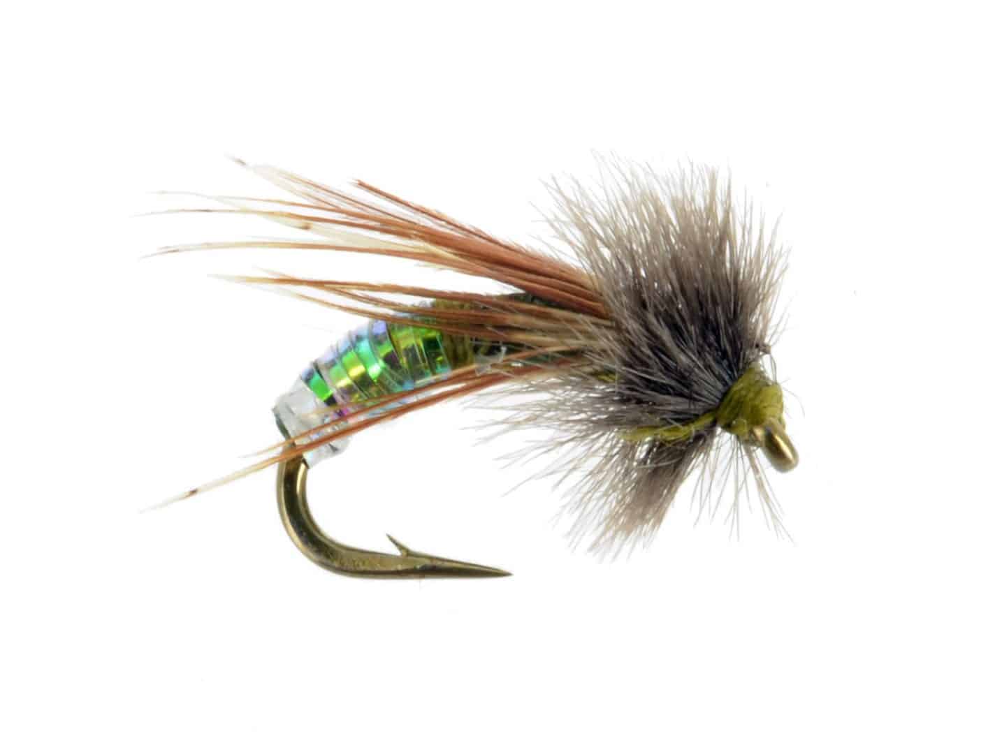 Caddis Nymphs | Catch Fly Fishing - Bilings, Montana