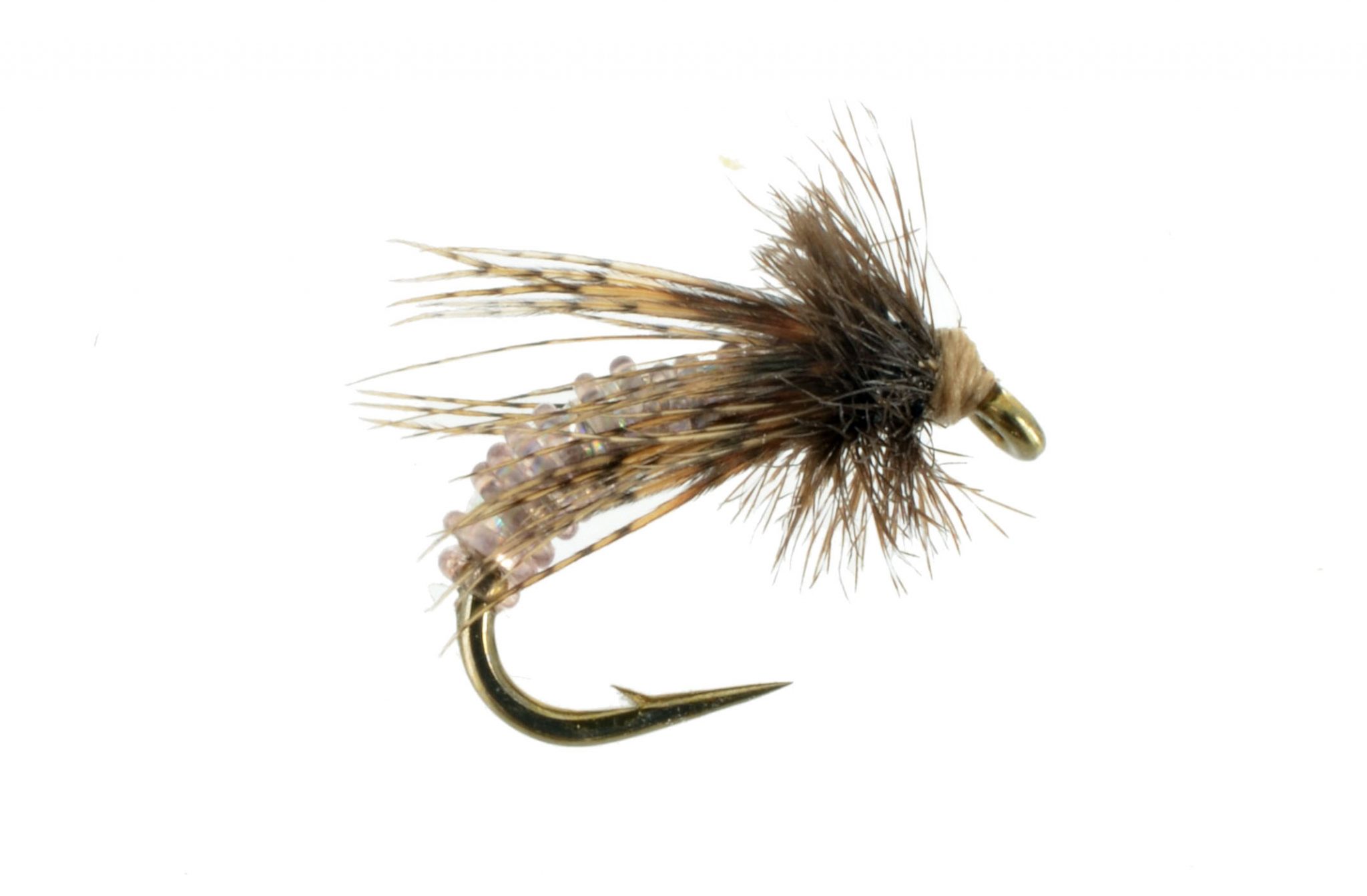 Caddis Nymphs | Catch Fly Fishing - Bilings, Montana