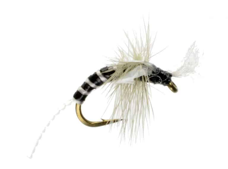 Dry Fly Midges | Catch Fly Fishing - Billings, Montana