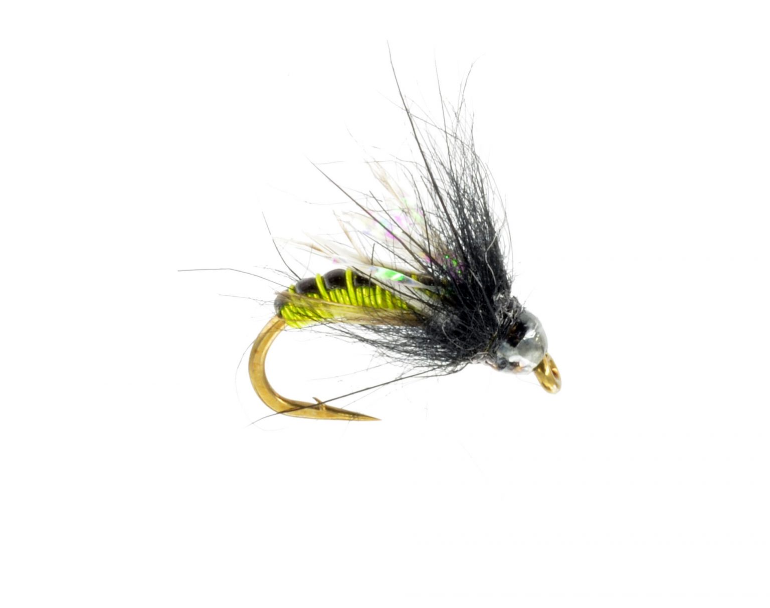 Caddis Nymphs | Catch Fly Fishing - Bilings, Montana