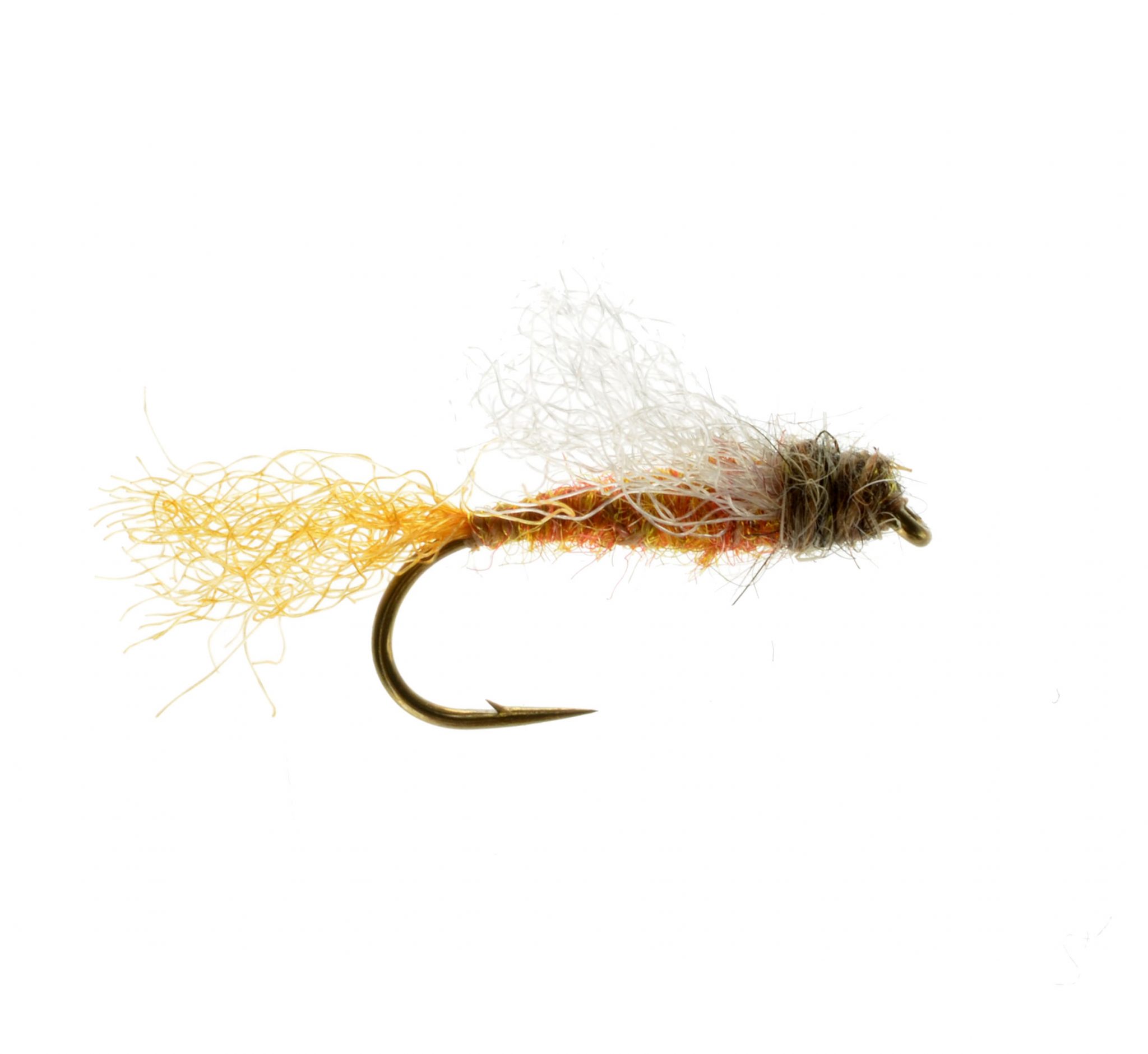Caddis Nymphs | Catch Fly Fishing - Bilings, Montana