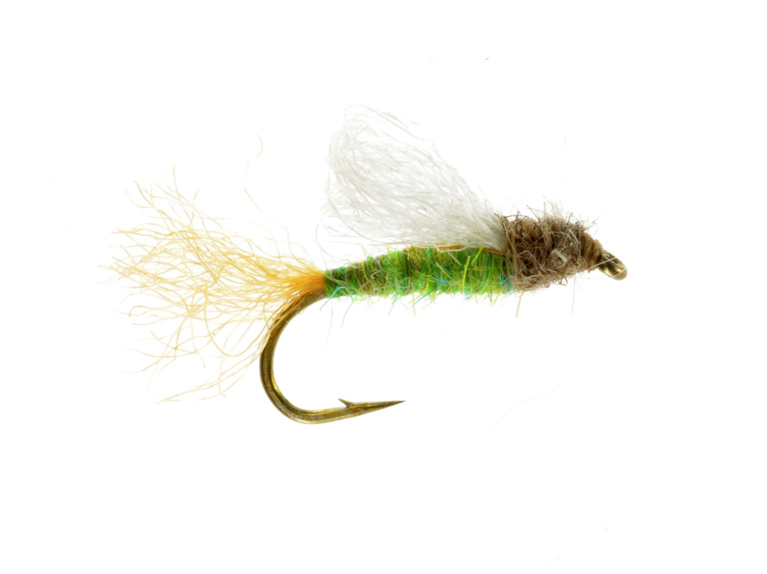 Caddis Nymphs | Catch Fly Fishing - Bilings, Montana