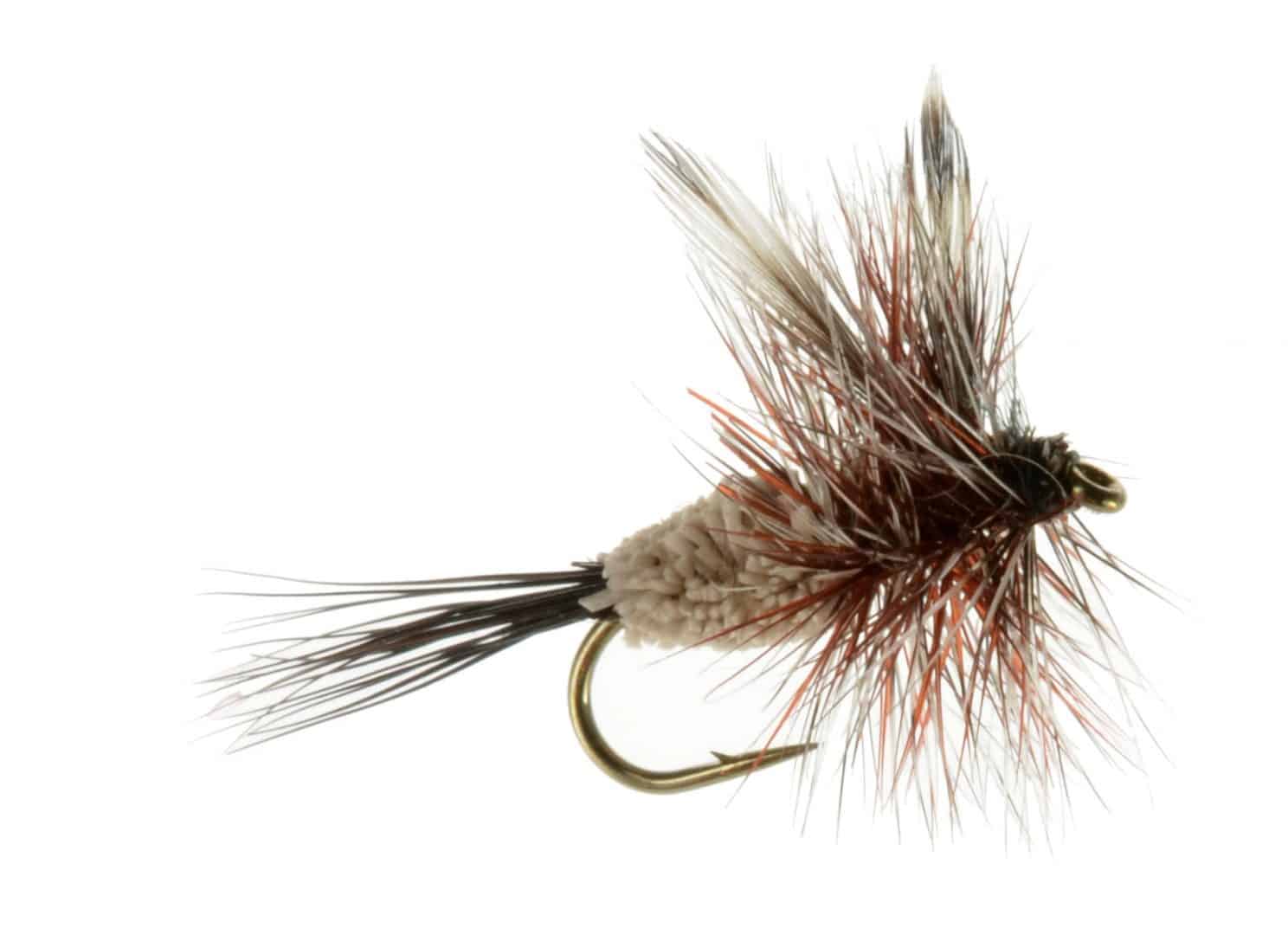 Best Dry Fly Patterns | CATCH Fly Fishing | Billings, MT