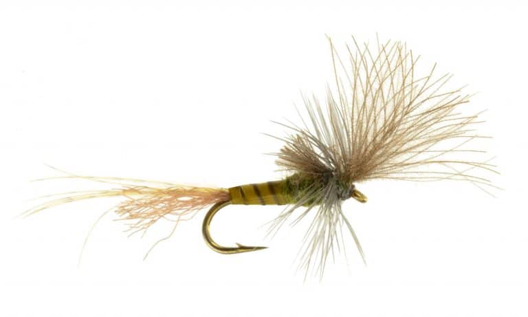 Emerger Patterns, Cripple Fly Patterns | Catch Fly Fishing - Billings