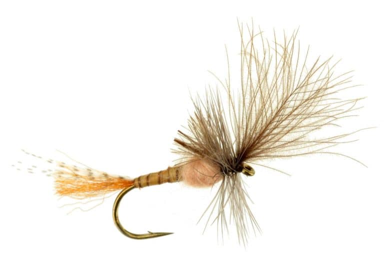 Emerger Patterns, Cripple Fly Patterns | Catch Fly Fishing - Billings