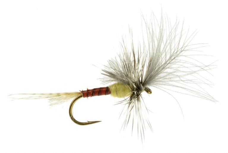 Emerger Patterns, Cripple Fly Patterns | Catch Fly Fishing - Billings