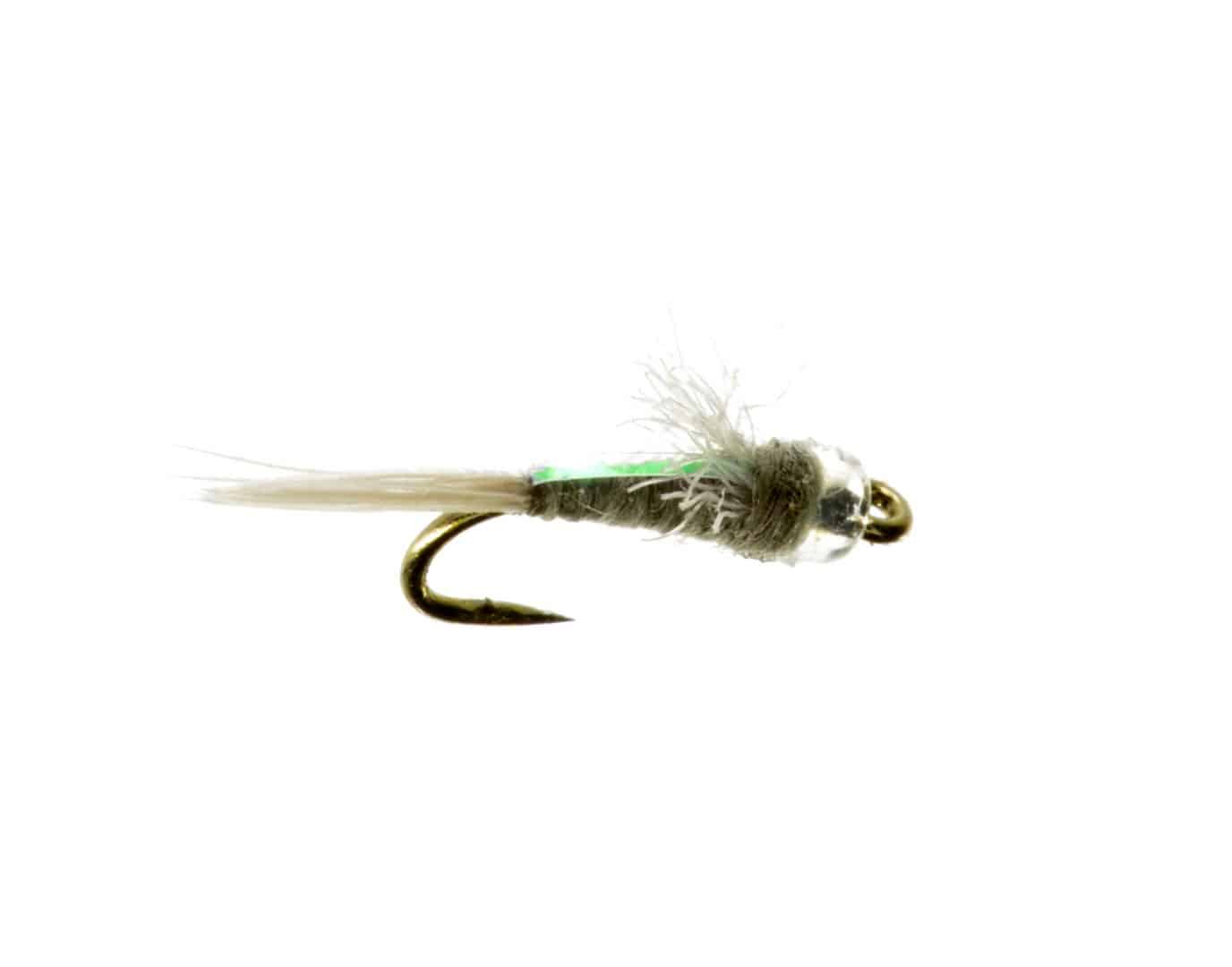 Nymphs - Standard - Catch Fly Fishing