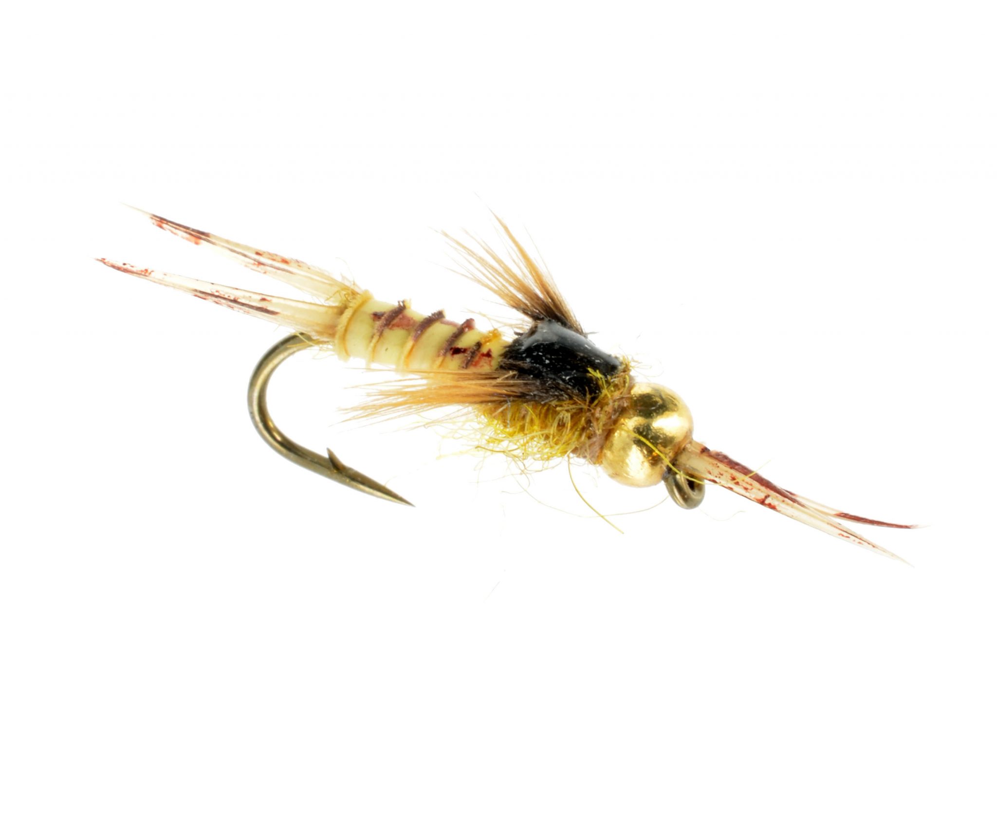 Stonefly Nymphs, Rubberlegs (PRL) & 20 Inchers | Catch Fly Fishing