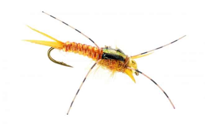 Stonefly Nymphs, Rubberlegs (PRL) & 20 Inchers | Catch Fly Fishing