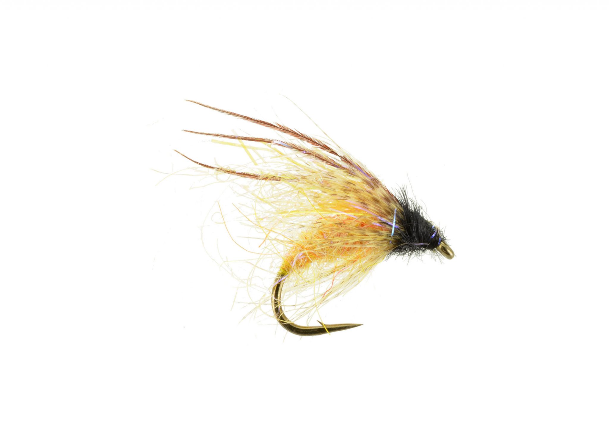 Caddis Nymphs | Catch Fly Fishing - Bilings, Montana