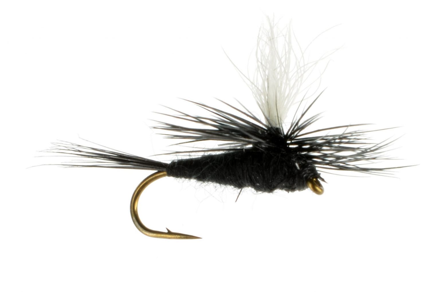 Best Dry Fly Patterns | CATCH Fly Fishing | Billings, MT