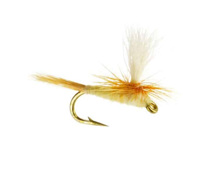 Best Dry Fly Patterns | CATCH Fly Fishing | Billings, MT