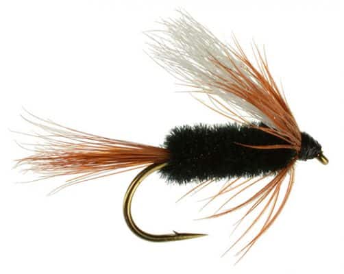 Stillwater Flies, Lake Flies & Buggers | Catch Fly Fishing