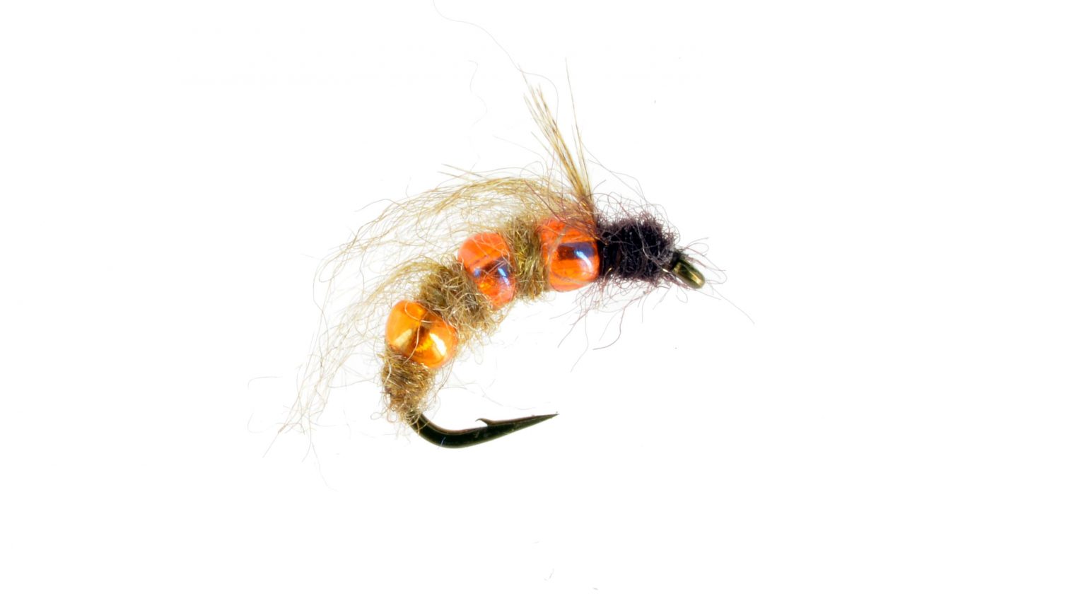 Caddis Nymphs | Catch Fly Fishing - Bilings, Montana