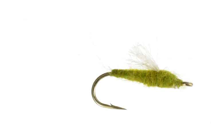 Nymphs - Standard - Catch Fly Fishing