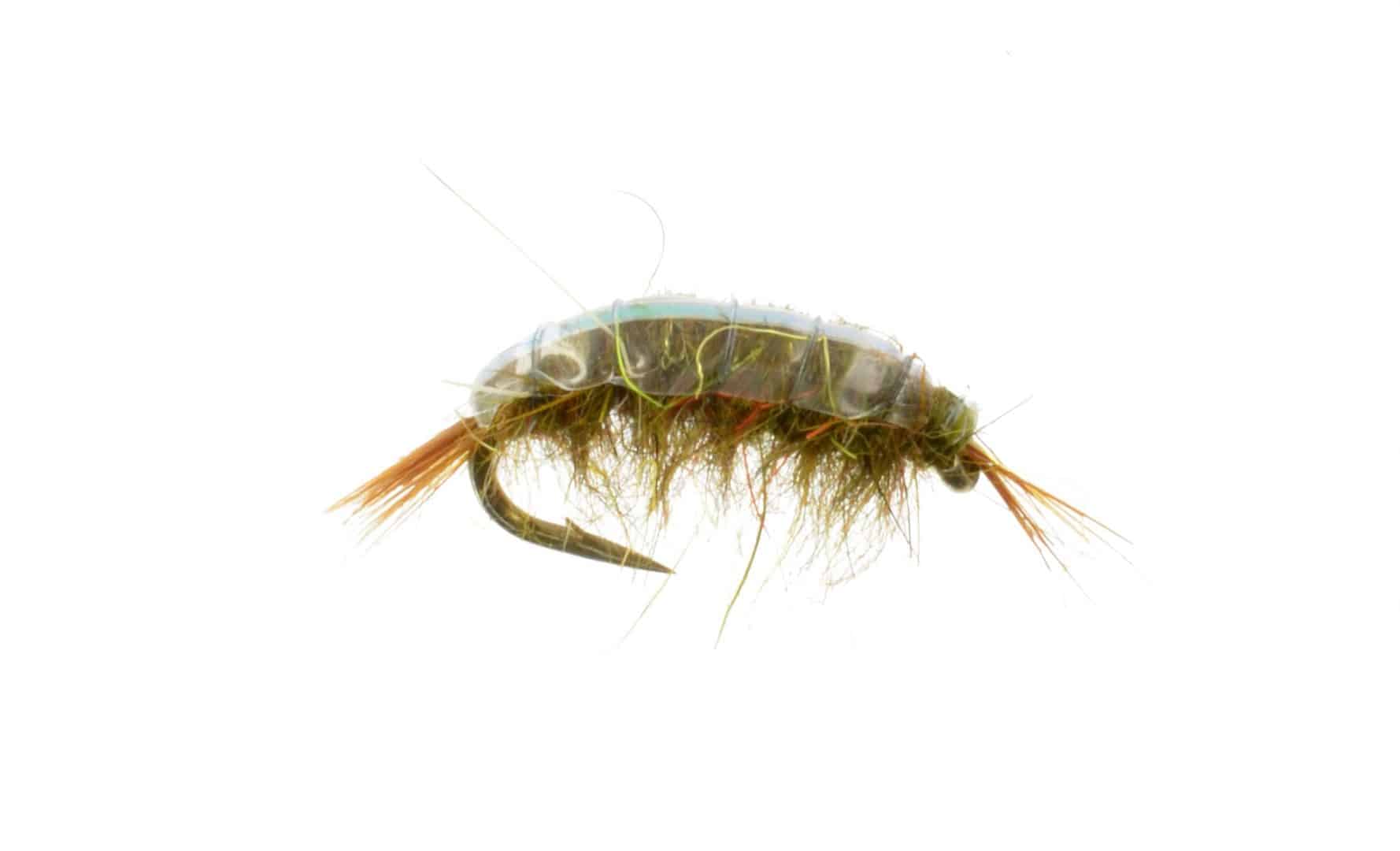 Scuds and Sowbugs (Ray Charles Fly Patterns | Catch Fly Fishing