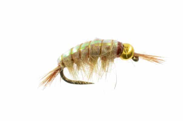 Scuds and Sowbugs (Ray Charles Fly Patterns | Catch Fly Fishing
