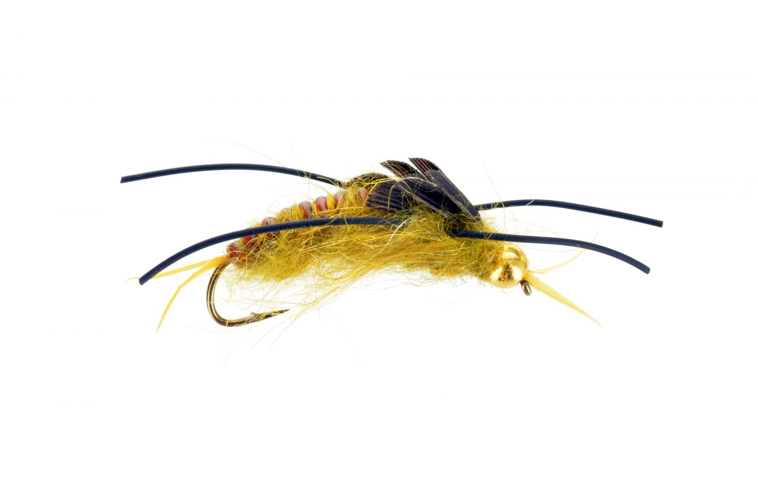 Stonefly Nymphs, Rubberlegs (PRL) & 20 Inchers | Catch Fly Fishing