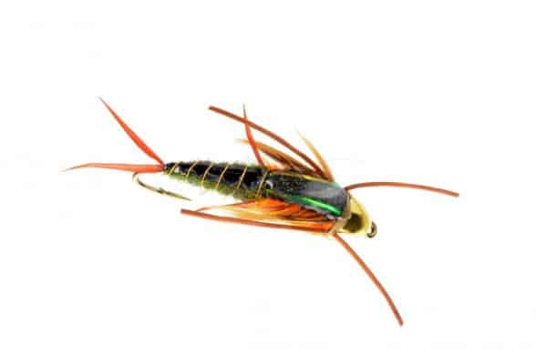 Stonefly Nymphs, Rubberlegs (PRL) & 20 Inchers | Catch Fly Fishing