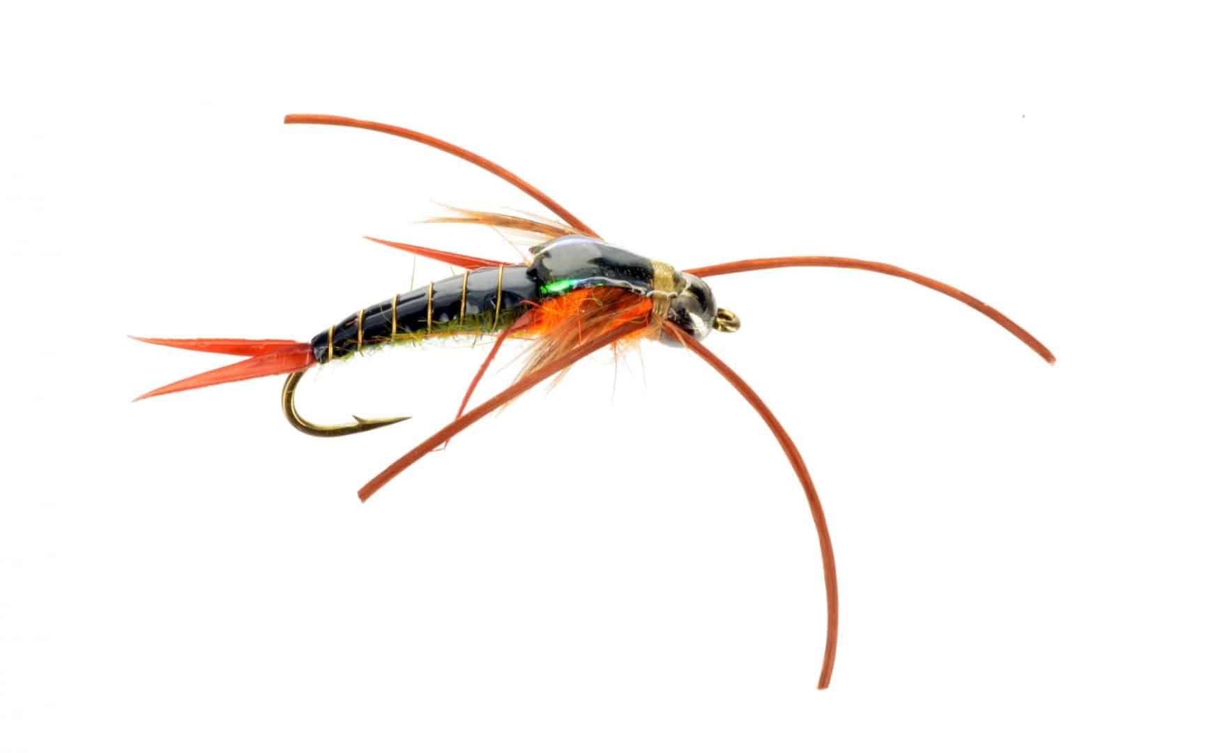 Stonefly Nymphs, Rubberlegs (PRL) & 20 Inchers | Catch Fly Fishing